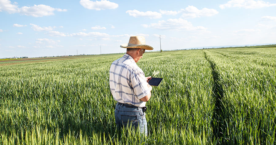 How technology creates a safe working environment on your farm ...