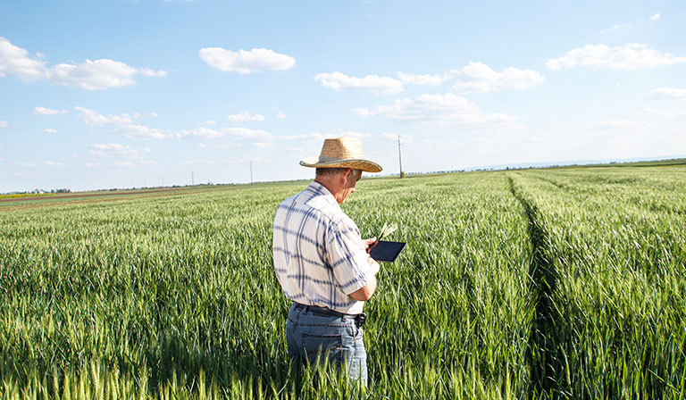 How technology creates a safe working environment on your farm ...